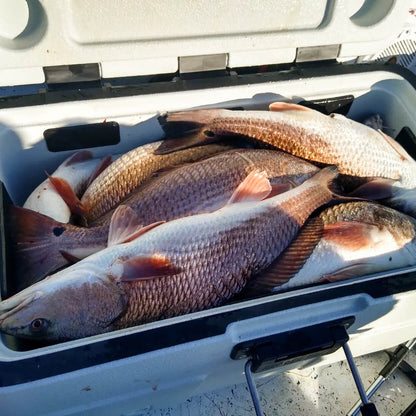 Rugged Road 85 - The Ultralight High Performance Cooler