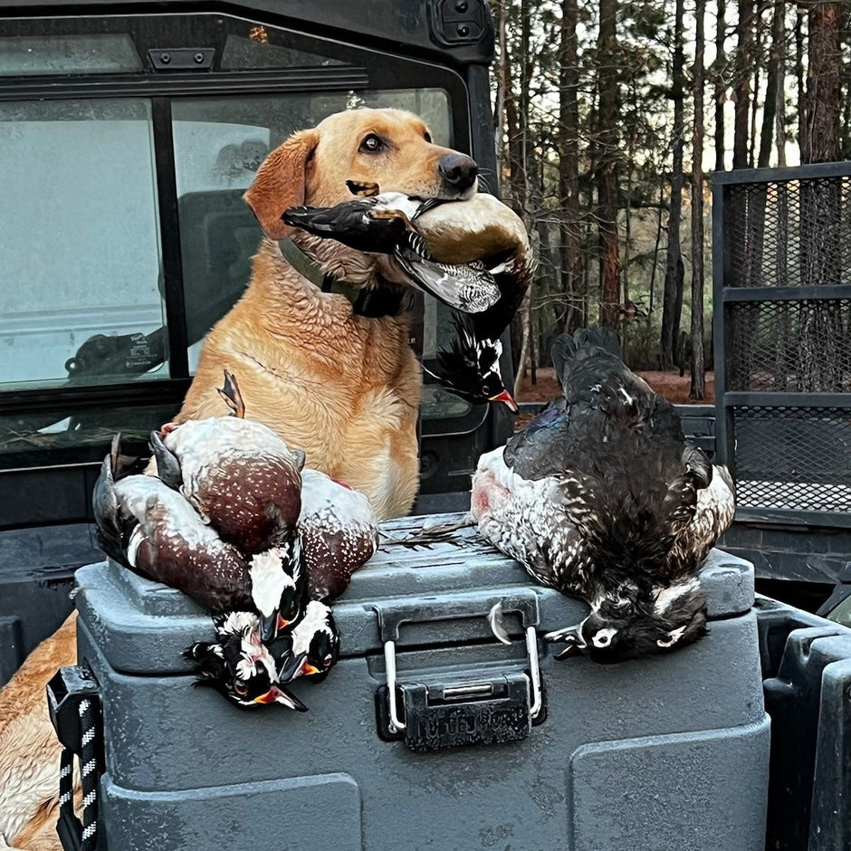 High-Caliber Hunting Coolers | Rugged Road